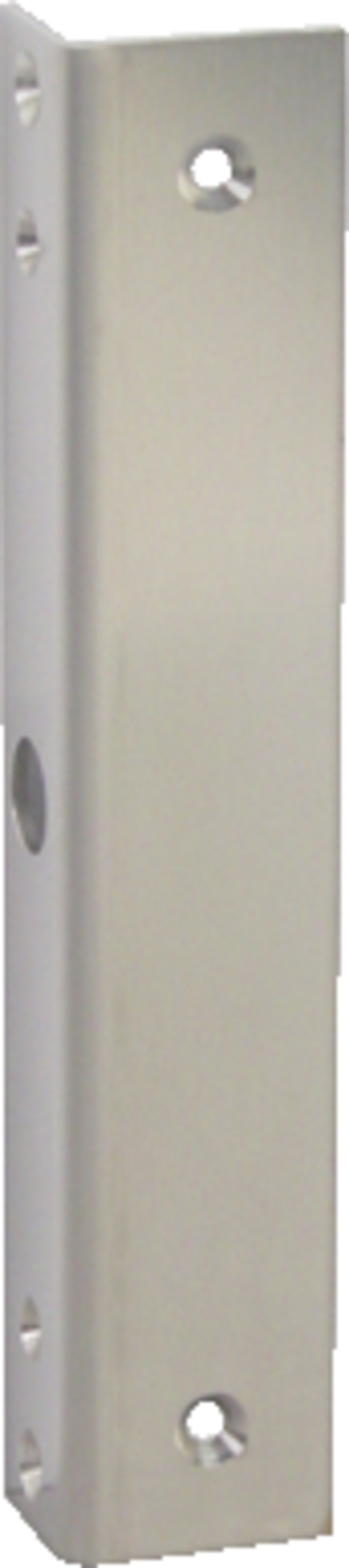 Angled faceplate (stainless steel)